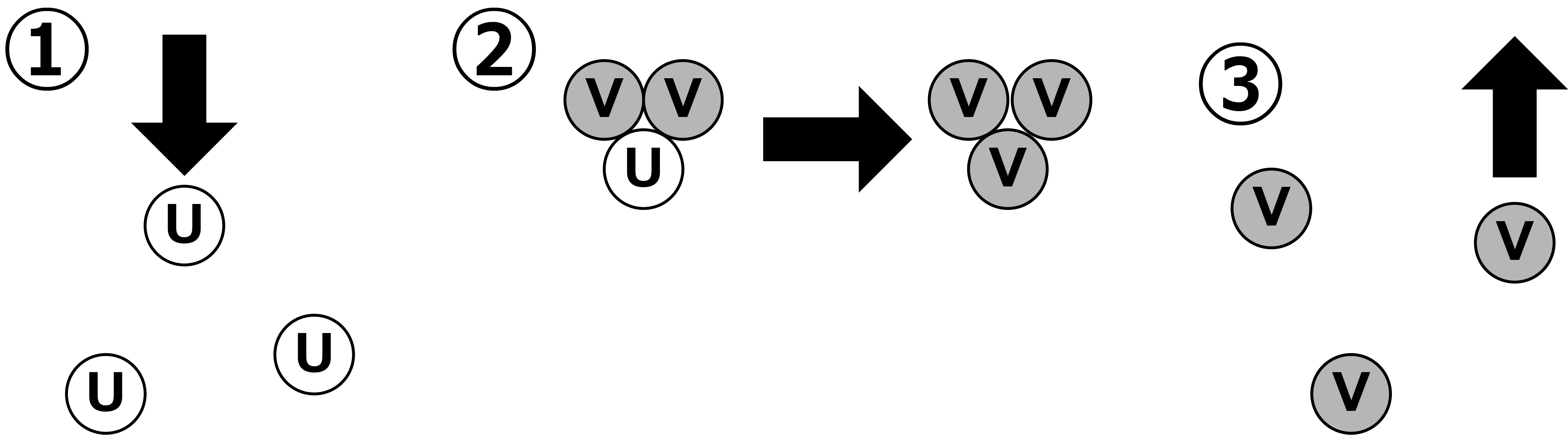 Reaction Diffusion